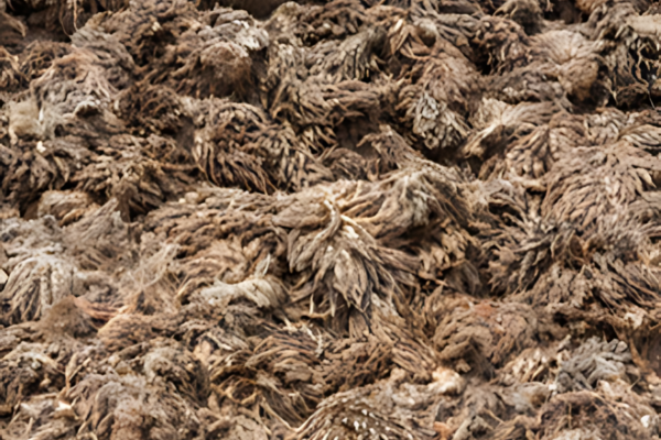 Investors – Thai Eastern Pulp and Paper